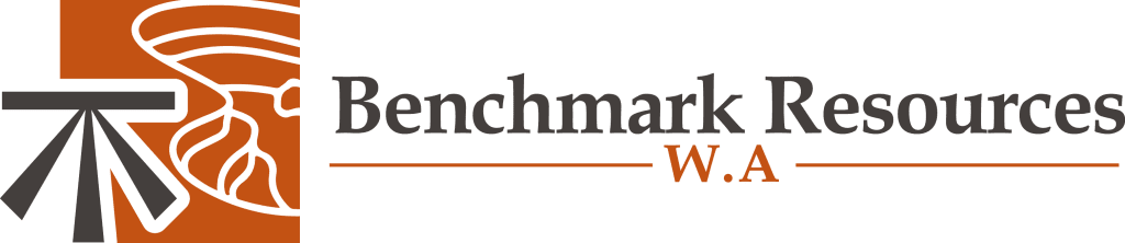 Mine Surveys - Benchmark Surveys